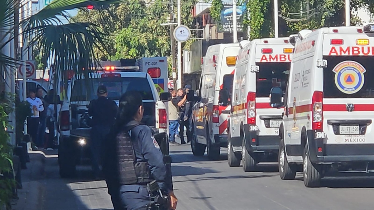 Son 23 niños los que resultaron con picaduras de abeja en una ...