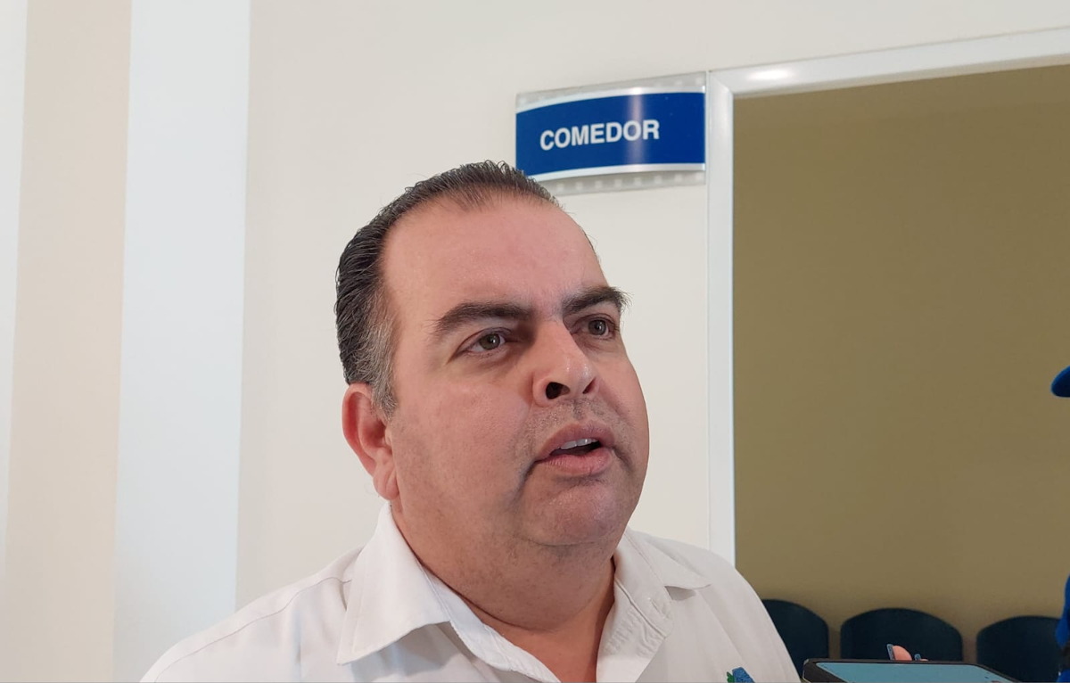 Primeras lluvias podrían detonar aumento de moscos en la región del ...