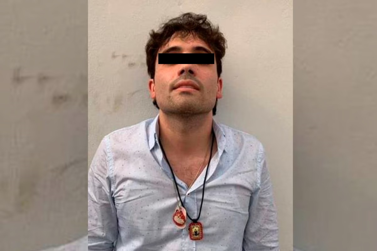 ¿Cómo lució Ovidio Guzmán en su audiencia de culpabilidad? Periodista ...