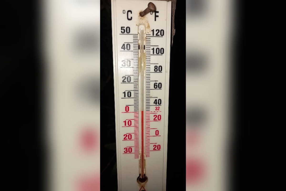 ¡Ya nos está helando en Genaro Estrada! Registran temperaturas de -1 ...