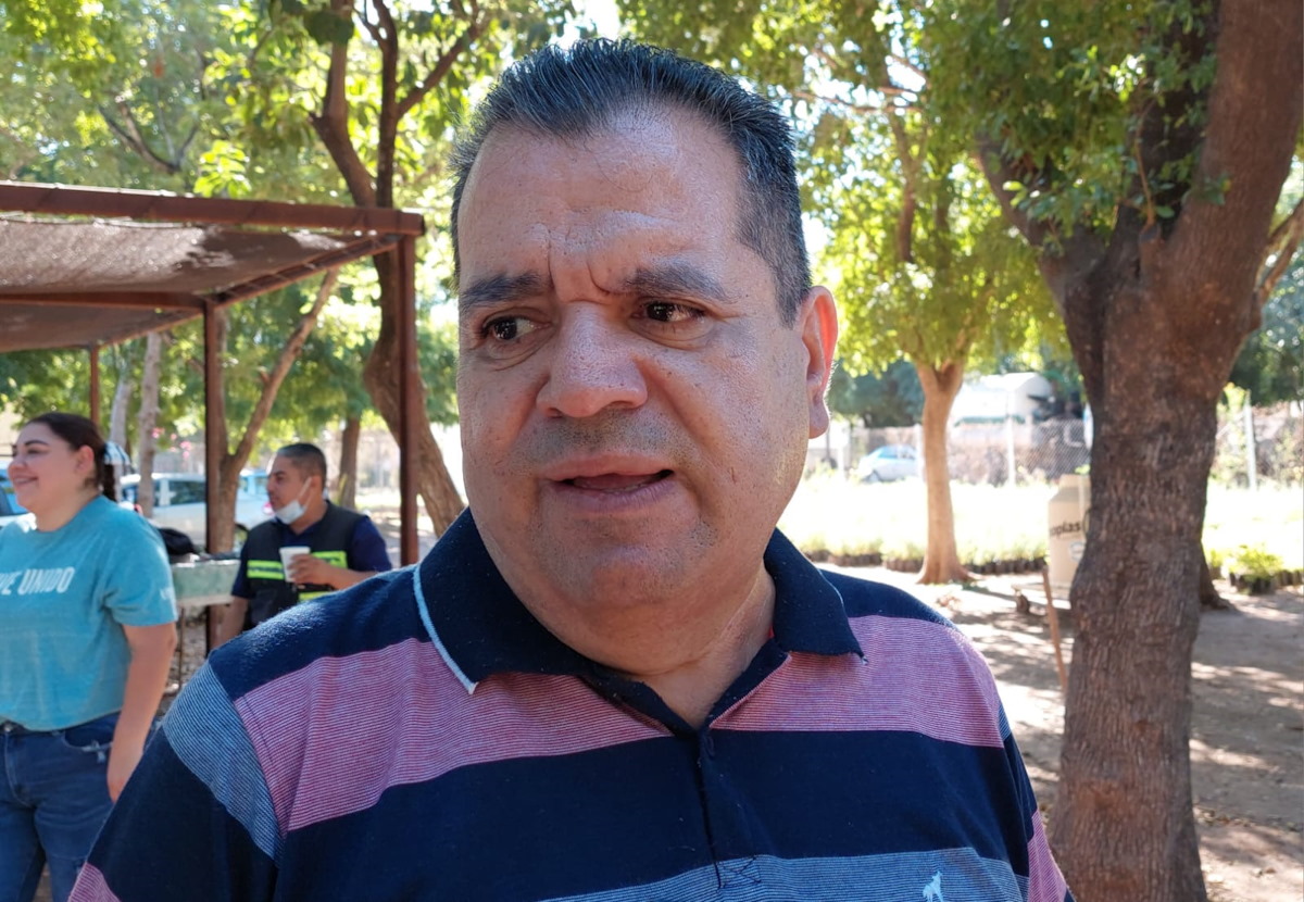 Va Ecología de Salvador Alvarado por una reforestación ‘agresiva’ para ...