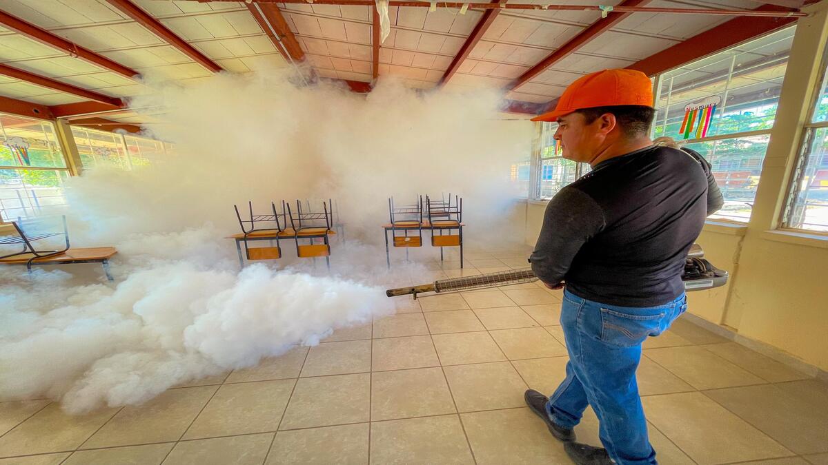 Gobierno de El Fuerte continúa con el Programa de Fumigación contra el ...