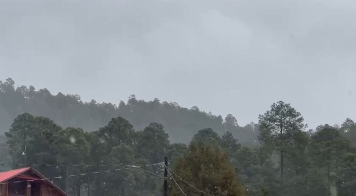 VIDEO| ¡Una belleza de paisaje! Cae aguanieve en Santa Gertrudis ...