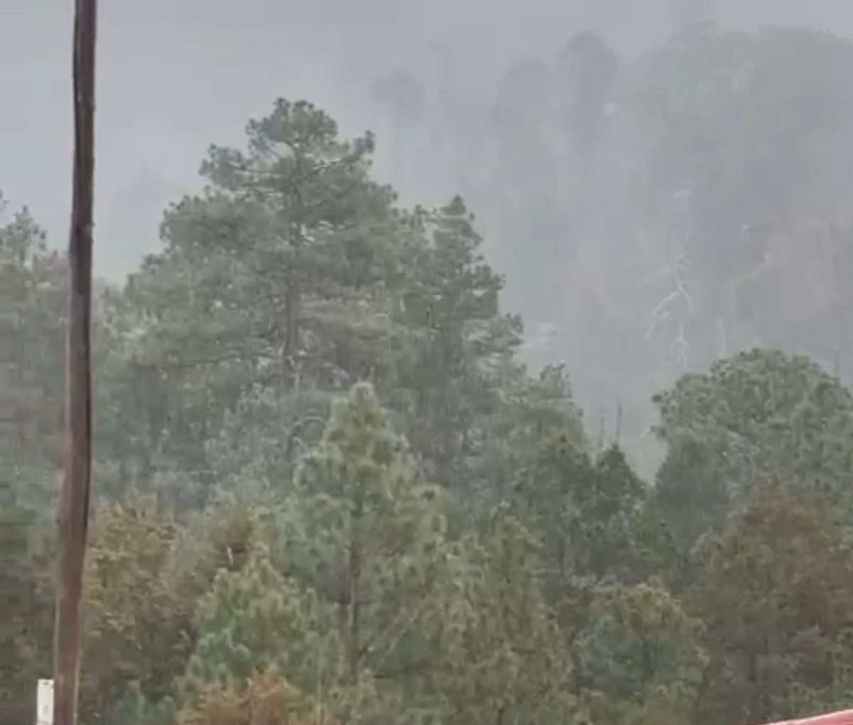 VIDEO| ¡Una belleza de paisaje! Cae aguanieve en Santa Gertrudis ...