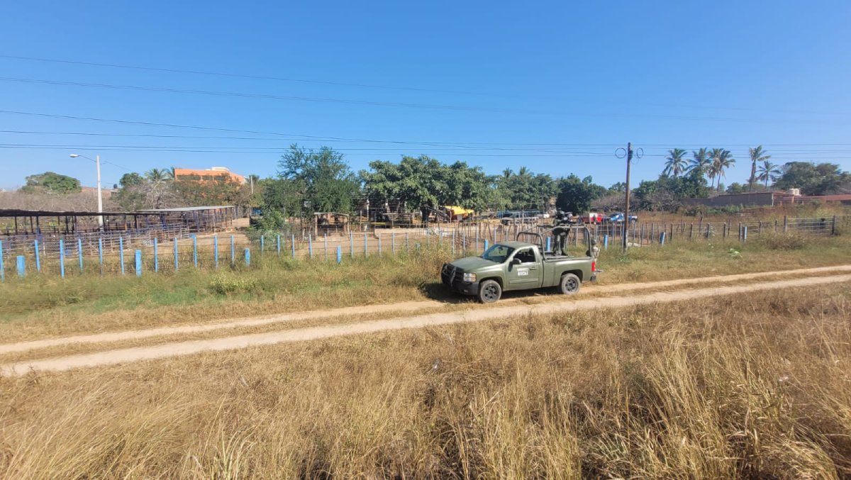 Hallan asesinados a balazos a cuatro hombres en Aguacaliente de Gárate ...