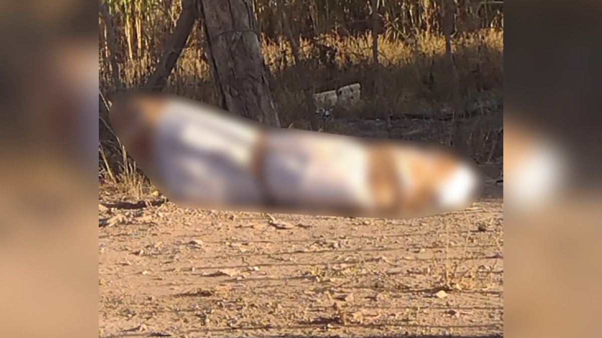 Envuelto en una lona localizan el cuerpo de una persona sin vida al oriente de Culiacán | Los ...