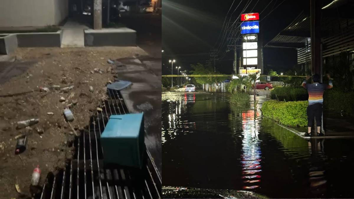 ¡Esto origina inundaciones! Boca de tormenta repleta de basura tras la ...