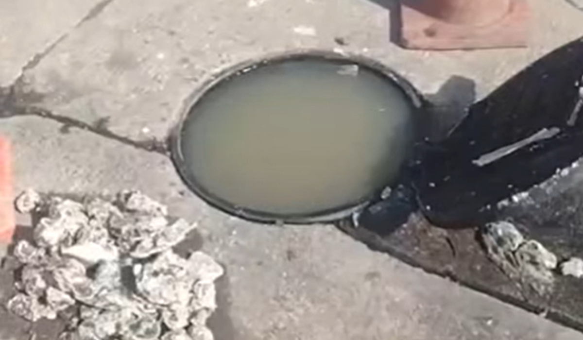 ¡El WC no es basurero! Japac alerta por taponamientos en el drenaje de ...