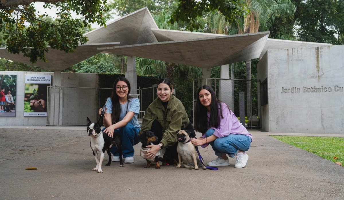 Jardín Botánico Culiacán promueve una cultura dogfriendly; disfruta ...