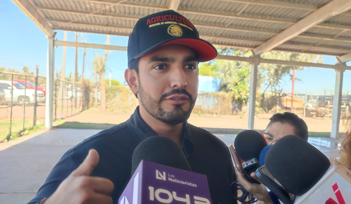 Sader trae programas para atender al sector primario de Sinaloa: Jesús ...