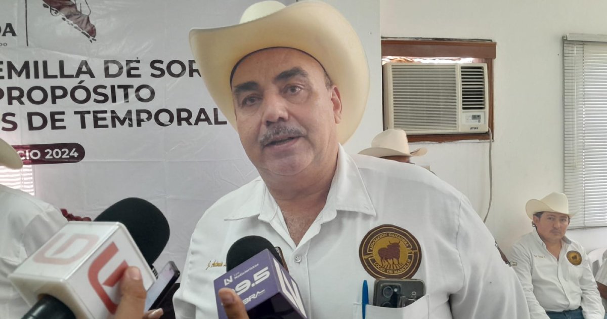 Sector ganadero de Sinaloa se siente desamparado y encomiendan a Dios ...
