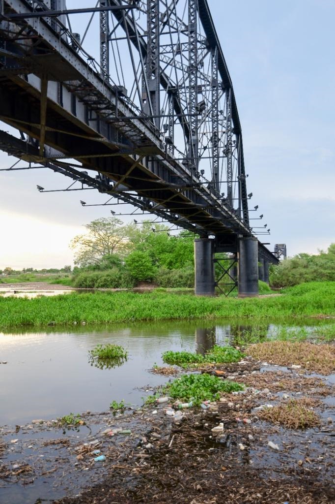 El lirio acuático es una especie invasora que genera un problema ecológico en los ríos de ...