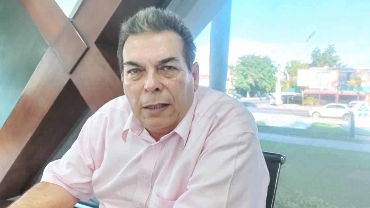 Arrancan primeros cortes de mango en el norte de Sinaloa; el reto es ...