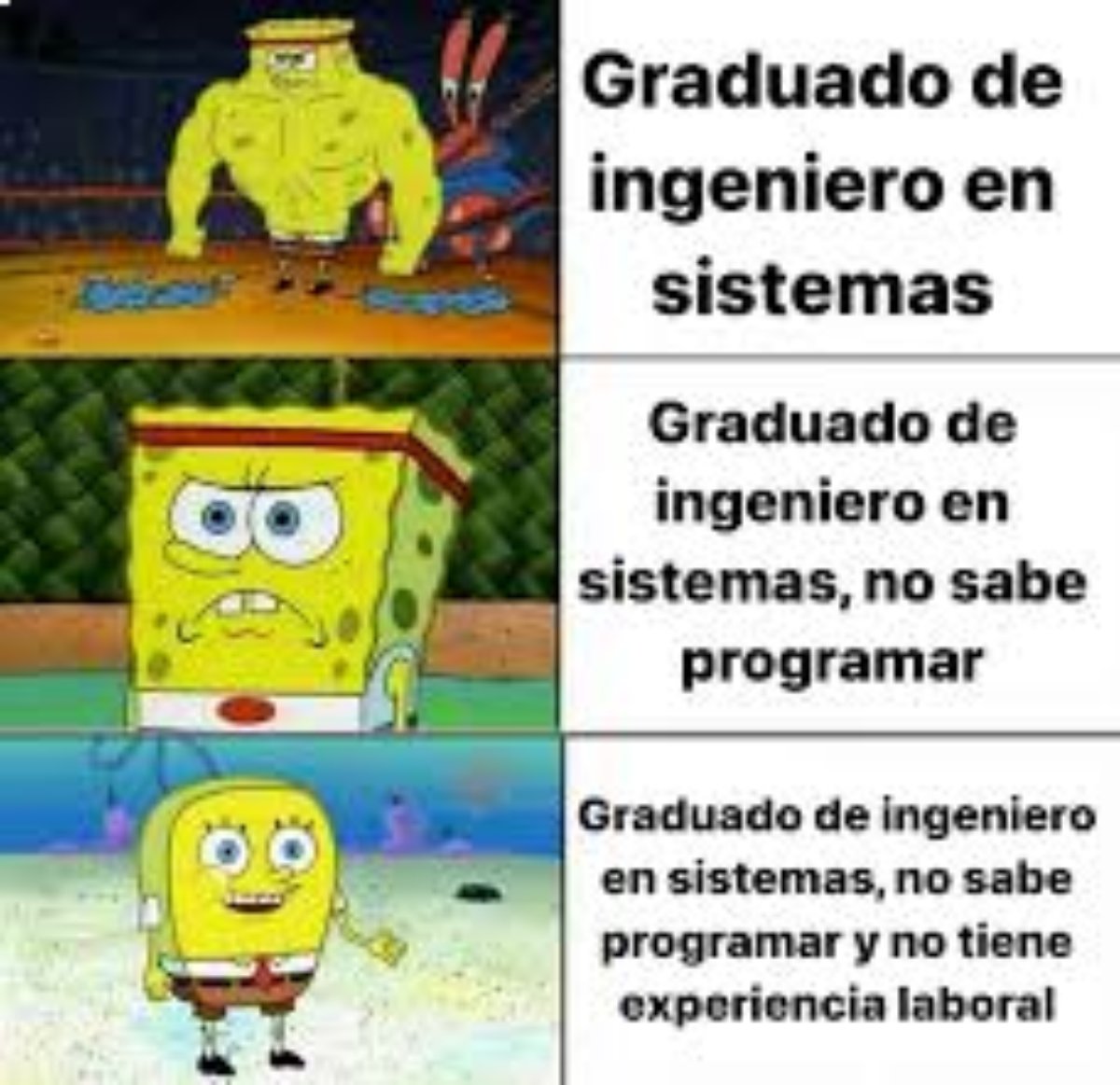 Tú que eres ingeniero en sistemas… felicidades en tu día ¡celébralo con ...