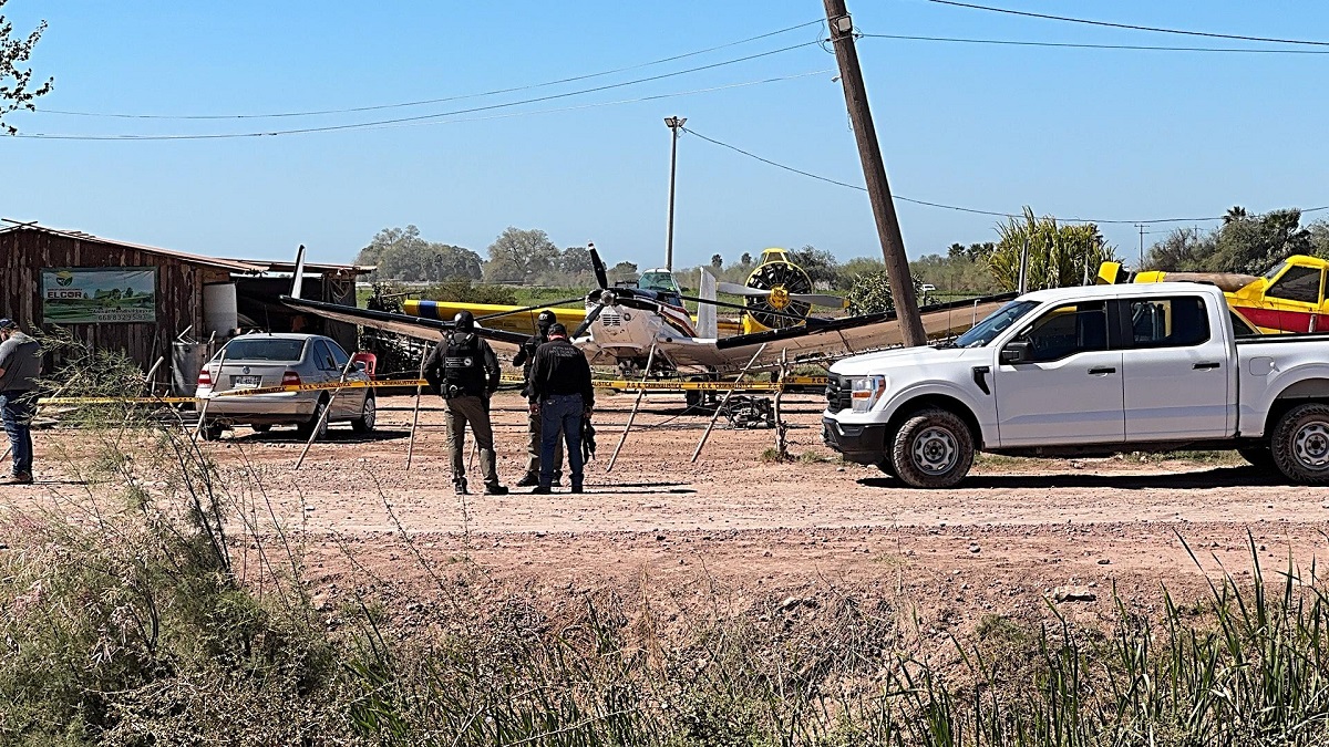 Autoridades federales aseguran pista clandestina en el ejido Macapul en ...