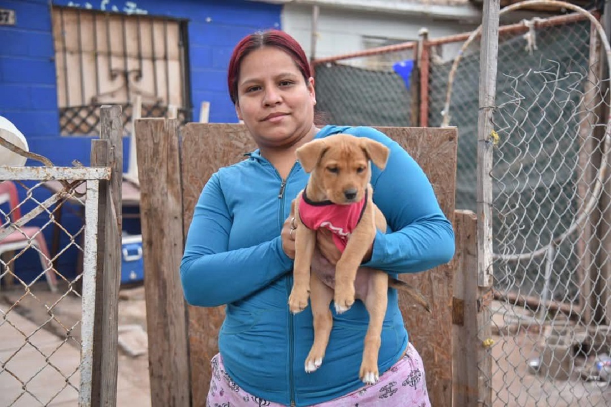 Van por un proyecto ‘perrón’ en Ahome; impulsan crear un parque para ...