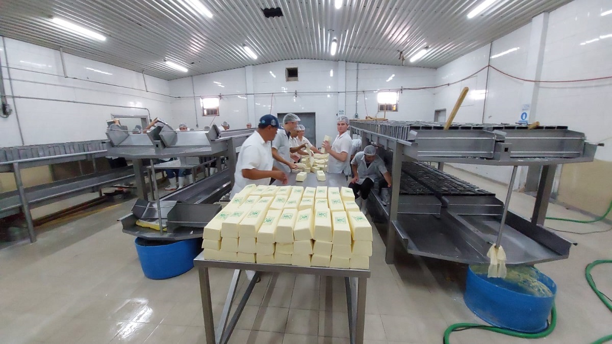 Sinaloenses pueden visitar la comunidad donde viven los menonitas en el ...