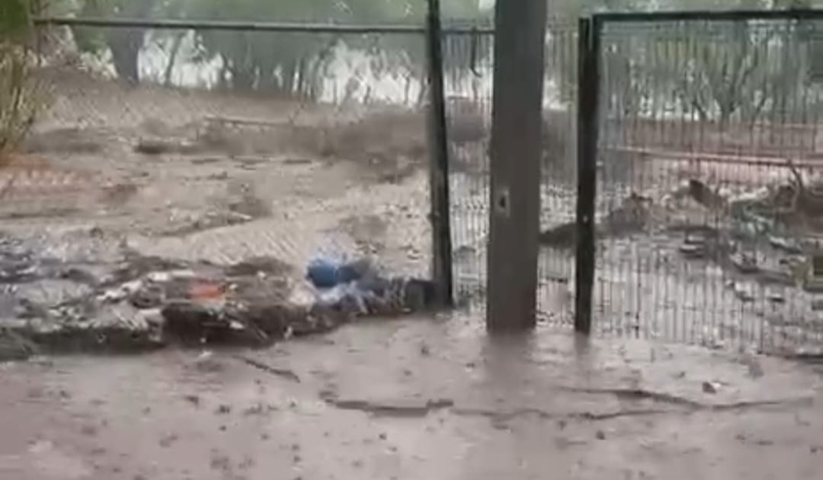 Se desborda arroyo “El Chiflais” en Mocorito tras intensa lluvia; reportan daños en al menos ...