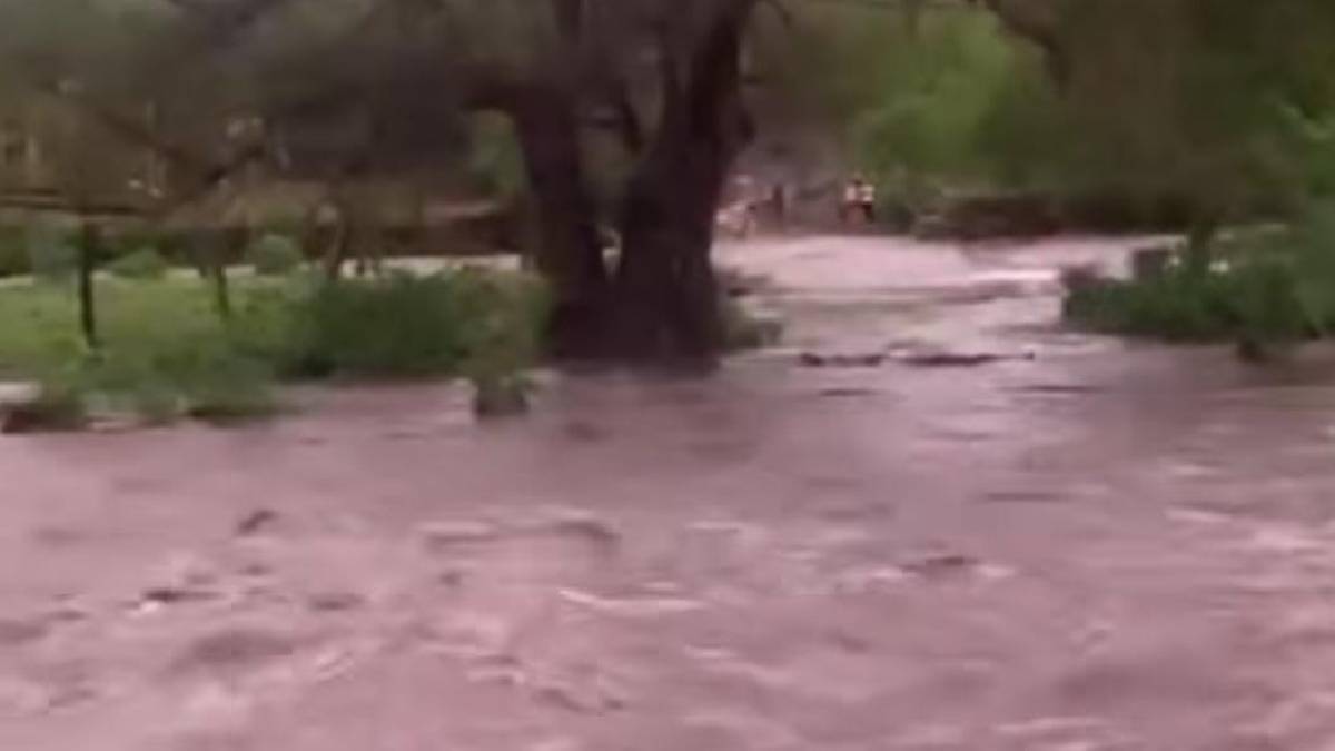 ¡Mucha lluvia en la sierra! Se desborda el arroyo de El Caimán en Sinaloa municipio | Los ...