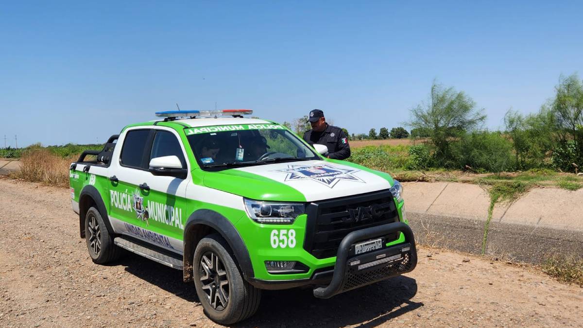 ¿Sabes a dónde reportar casos de maltrato animal en Guasave? Despierta interés de denunciar ...